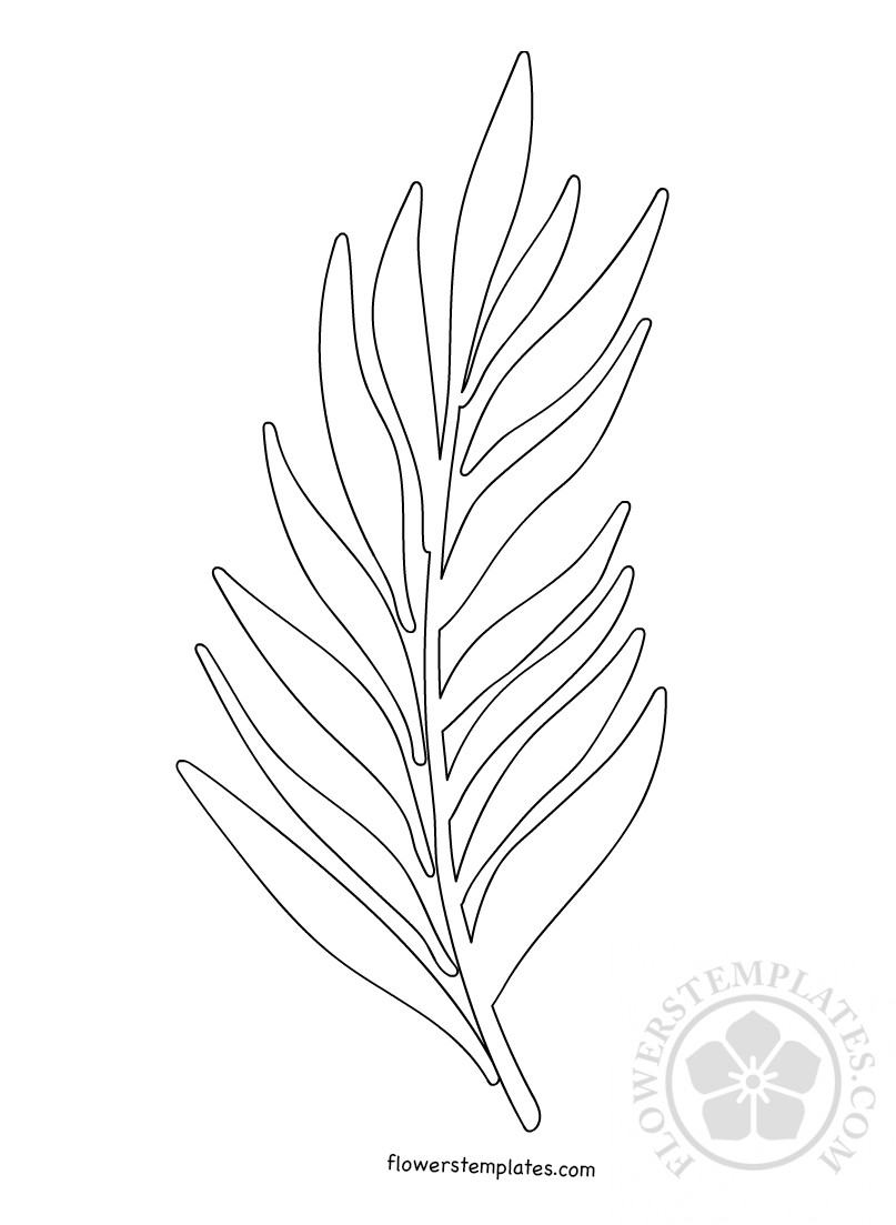 Palm branch template Flowers Templates