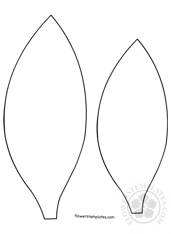 Sunflower petal template Flowers Templates