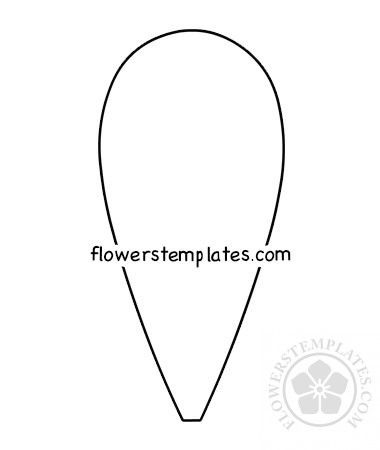 daisy-petal – Flowers Templates