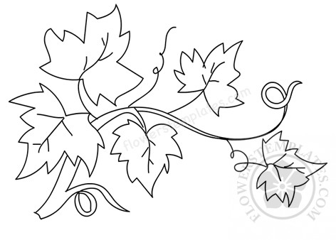 vine-leaves – Flowers Templates